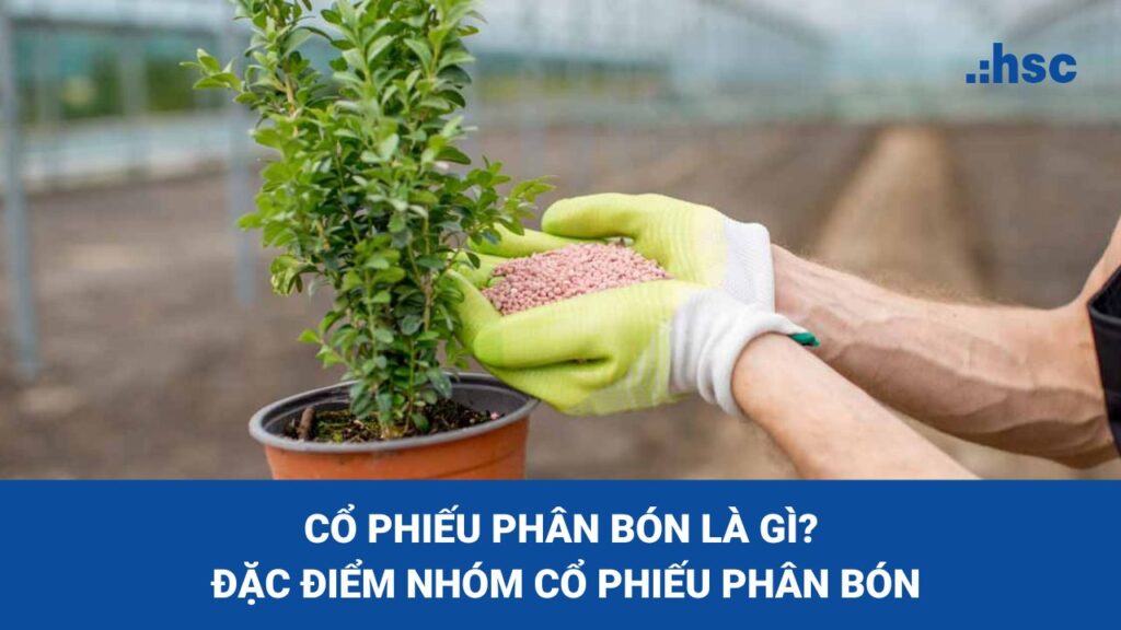3 Điều cần biết trước khi đầu tư cổ phiếu phân bón