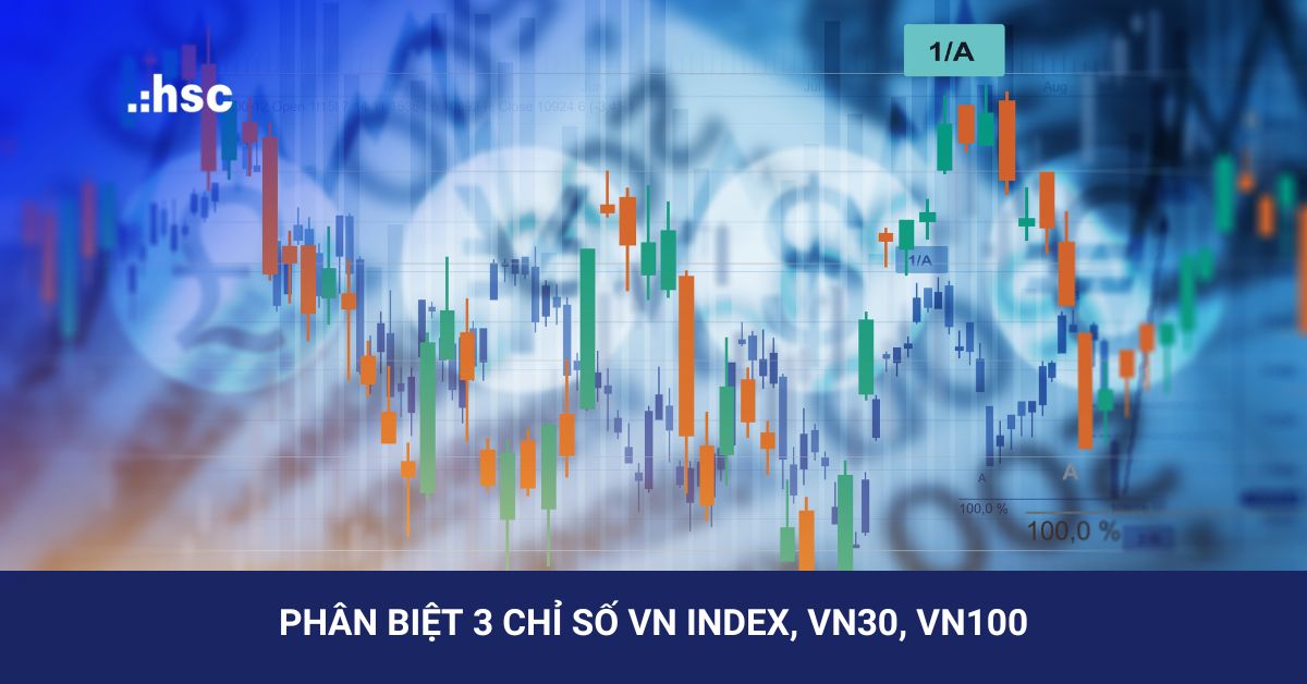 VN100 là gì? 10 Thông số cơ bản về VN100 nhà đầu tư nên biết